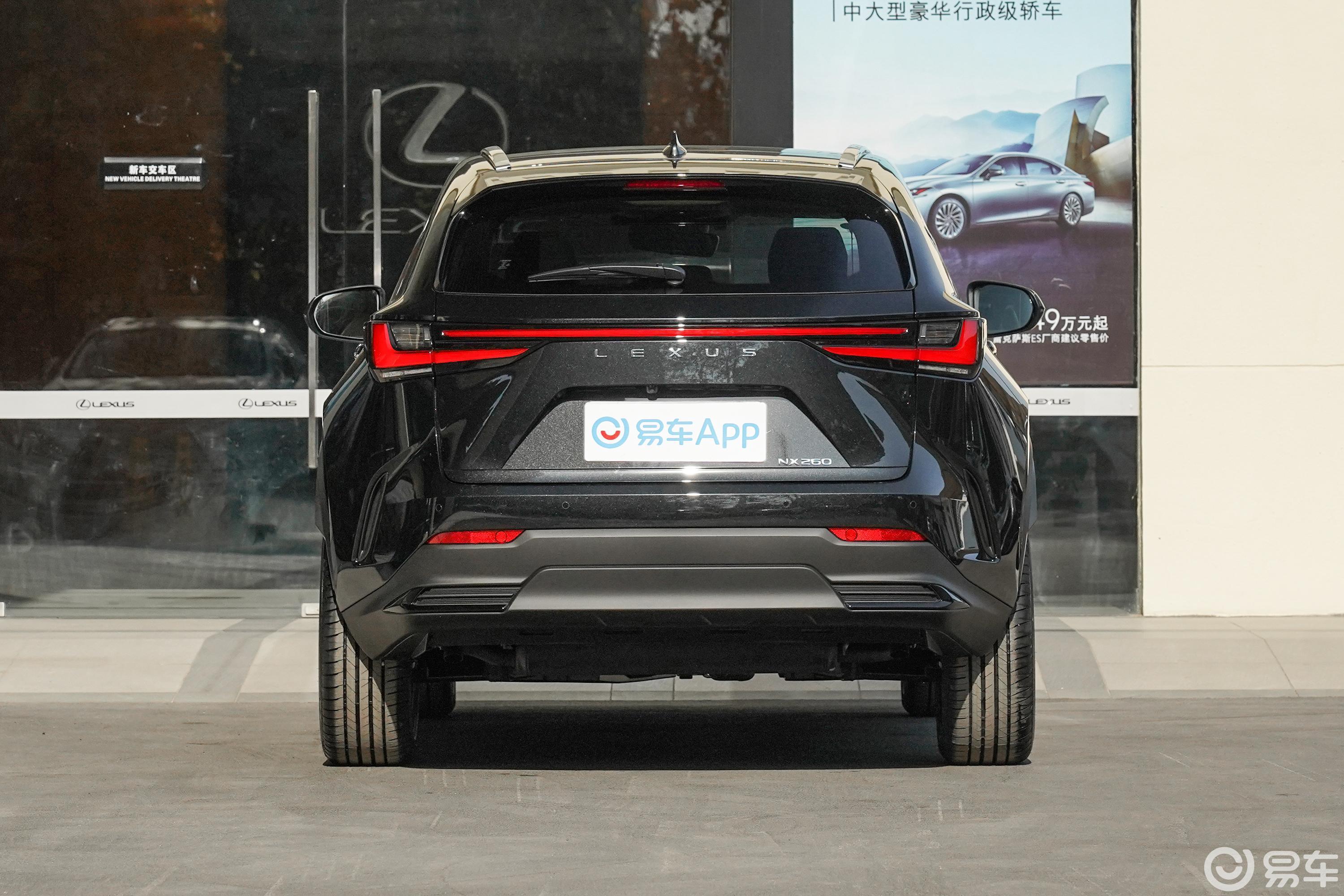 【雷克萨斯NX260 两驱创享版正后水平图片-汽车图片大全】-易车