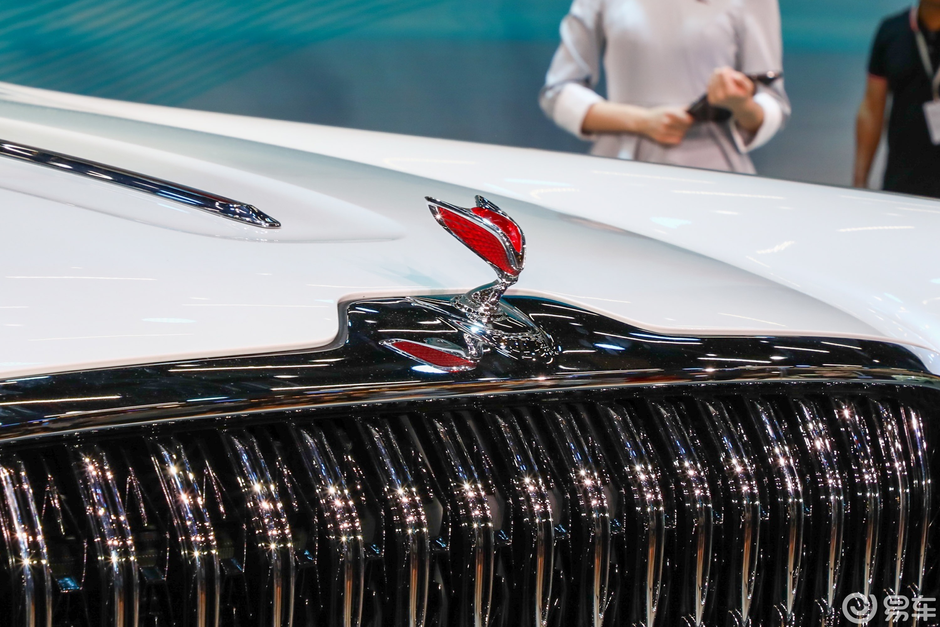 【红旗L54.0T 顶配版外观图片-汽车图片大全】-易车