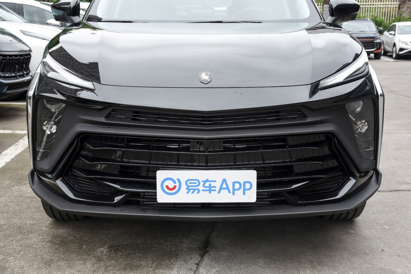 【风行T5 EVO狂飚版 1.5T 新铂金款外观细节图片-汽车图片大全】-易车