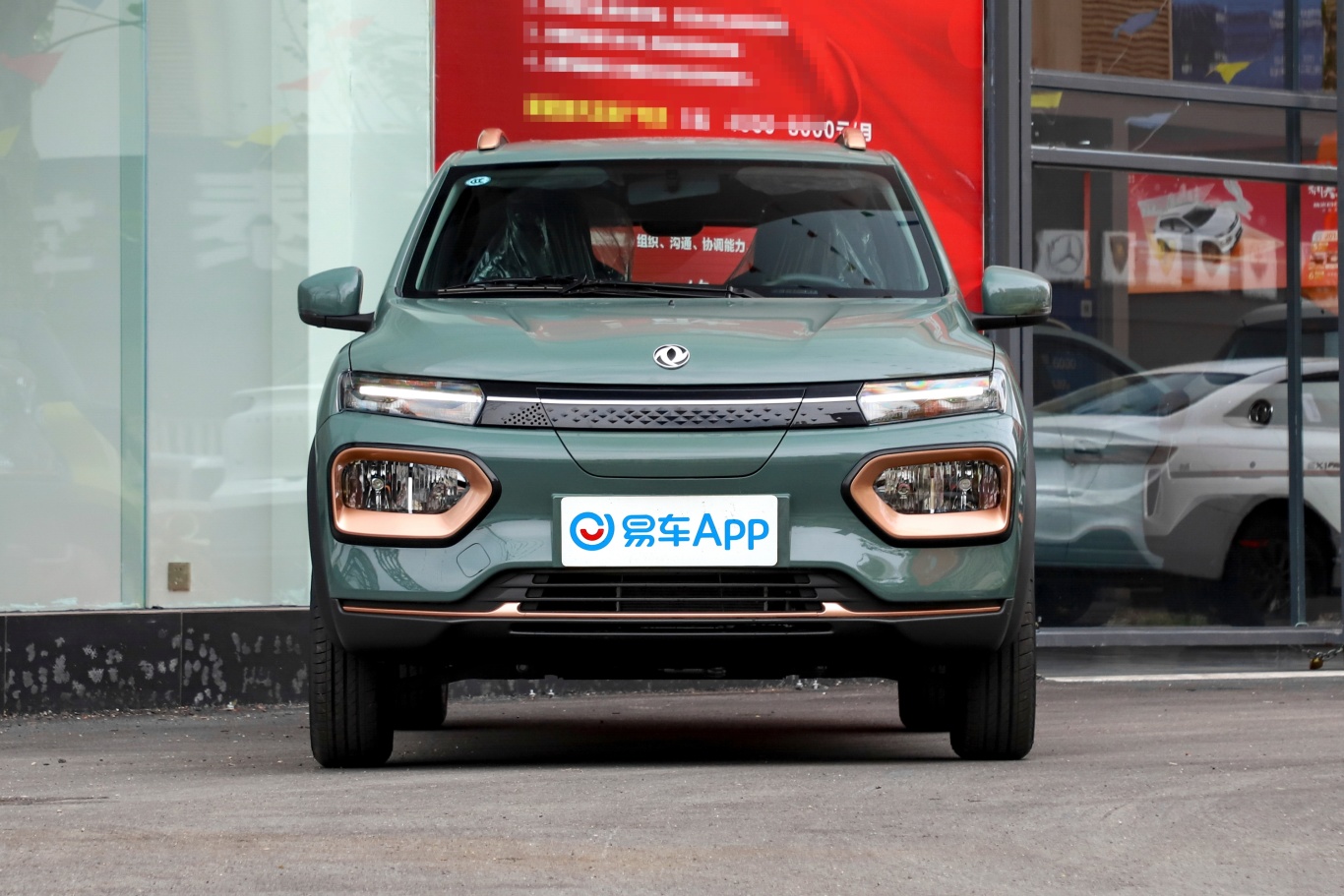 【纳米BOX冠军款 轻风版 201km 标准型正前水平图片-汽车图片大全】-易车