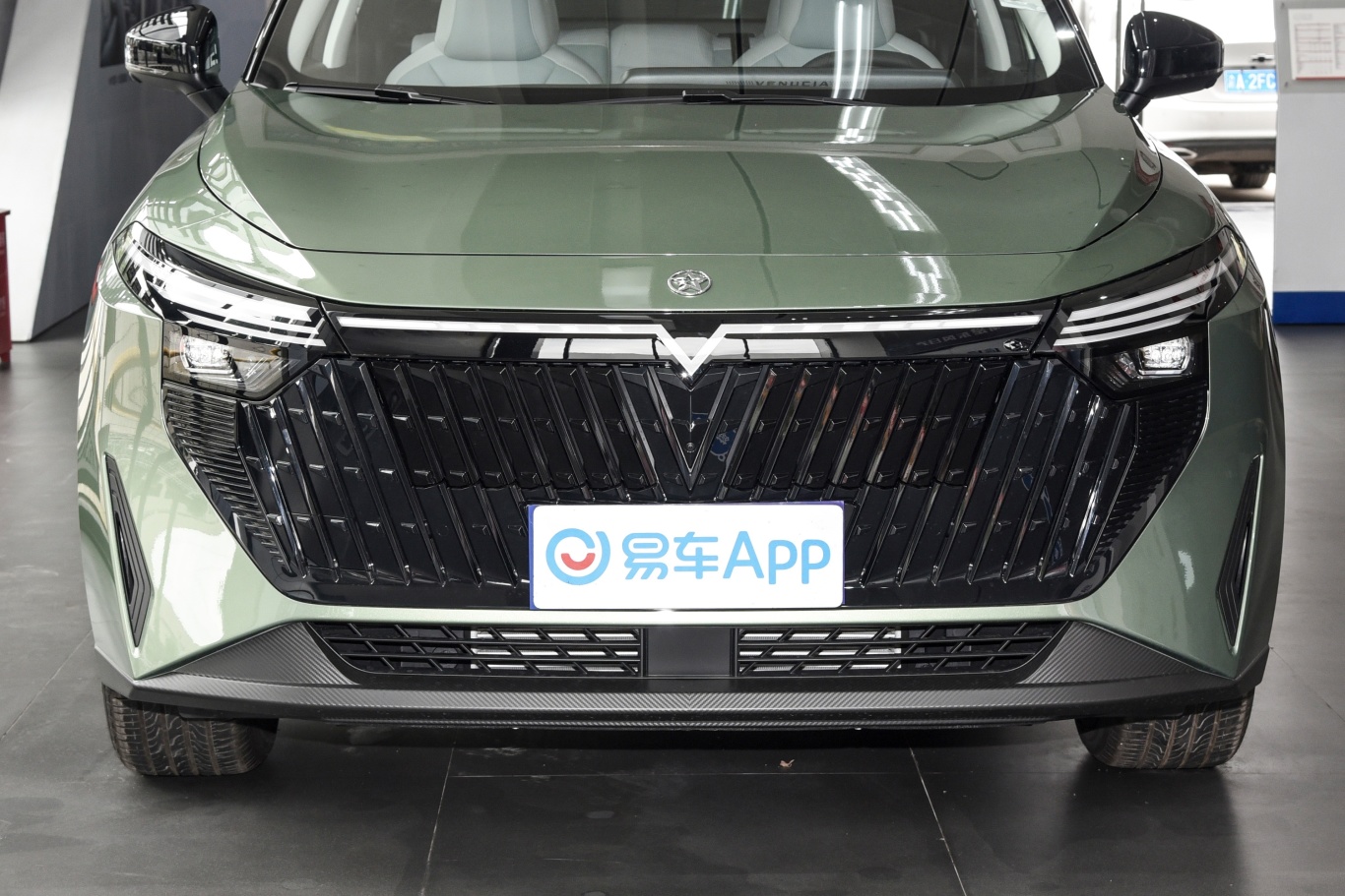 【启辰大V DD-i超混动1.5T 110km iE版外观细节图片-汽车图片大全】-易车