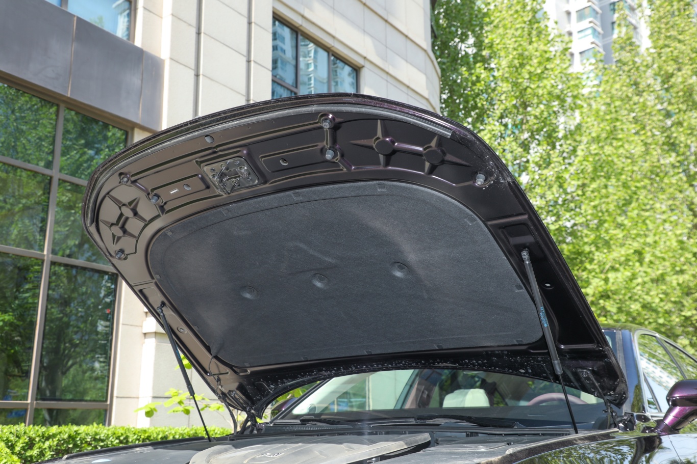 【红旗H93.0T 两驱旗畅豪华商务版 5座前舱盖内侧图片-汽车图片大全】-易车