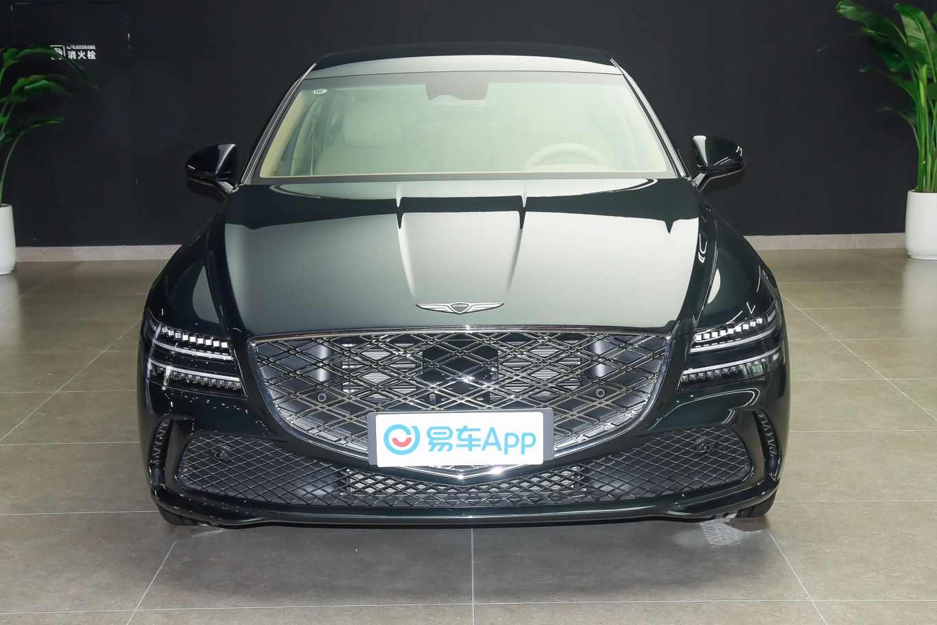 【捷尼赛思G802.5T 两驱豪华版正前水平图片-汽车图片大全】-易车